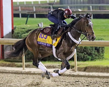 Catholic Boy - Horse Profile - BloodHorse
