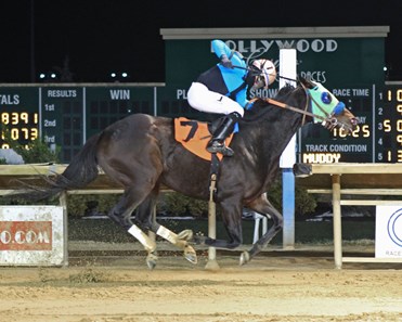 T Rex Express - Horse Profile - BloodHorse