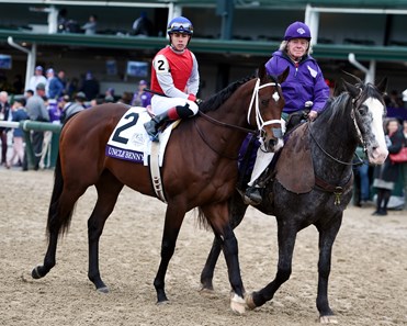 Uncle Benny - Horse Profile - BloodHorse