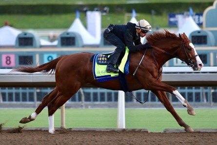 Improbable - Horse Profile - BloodHorse