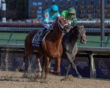 Monomoy Girl - Horse Profile - BloodHorse