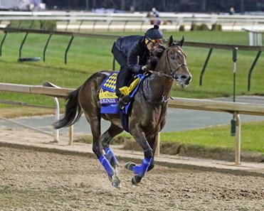 McKinzie - Horse Profile - BloodHorse