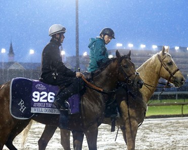 Well Done Fox (GB) - Horse Profile - BloodHorse