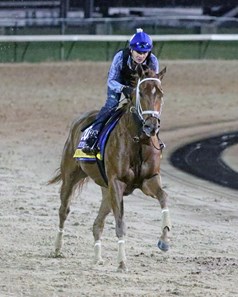Monomoy Girl - Horse Profile - BloodHorse