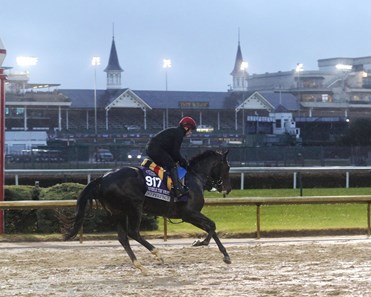 So Perfect - Horse Profile - BloodHorse