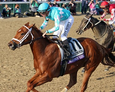 Monomoy Girl - Horse Profile - BloodHorse
