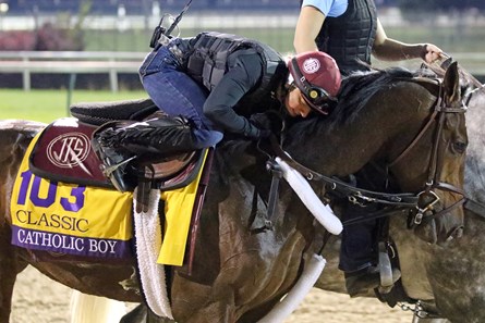 Catholic Boy - Horse Profile - BloodHorse