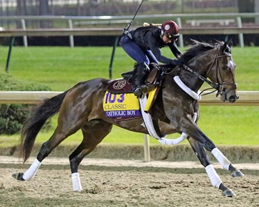 Catholic Boy - Horse Profile - BloodHorse