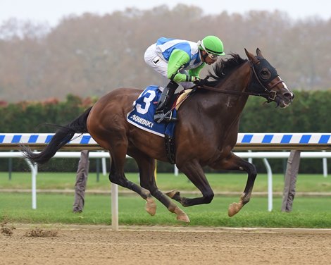 No Dozing Dominant in Bold Ruler Handicap - BloodHorse