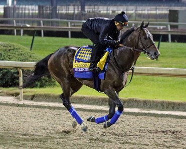 McKinzie - Horse Profile - BloodHorse