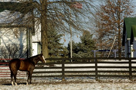 Californian Gary Broad Purchases Historic Walmac Farm - BloodHorse