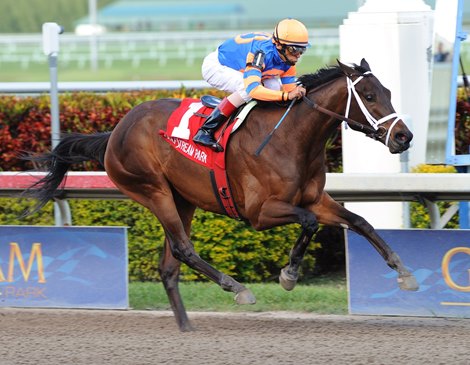 Uncle Mo Passes First Test in Timely Writer - BloodHorse