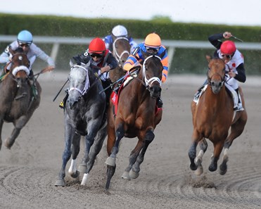 Uncle Mo - Horse Profile - BloodHorse