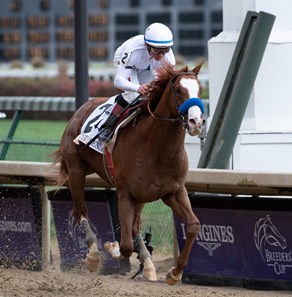 Improbable - Horse Profile - BloodHorse