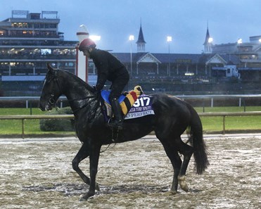 So Perfect - Horse Profile - BloodHorse
