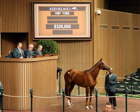 Distorted Humor Filly Tops Keeneland Day 4 - BloodHorse