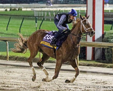 Monomoy Girl - Horse Profile - BloodHorse