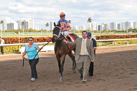 Uncle Mo - Horse Profile - BloodHorse