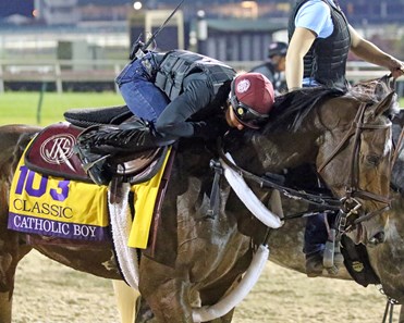 Catholic Boy - Horse Profile - BloodHorse