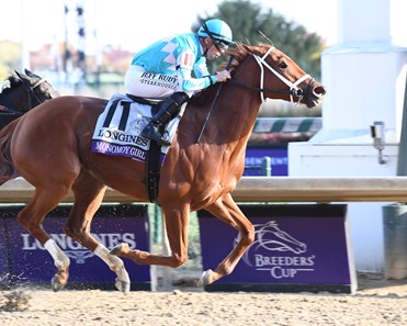 Monomoy Girl - Horse Profile - BloodHorse