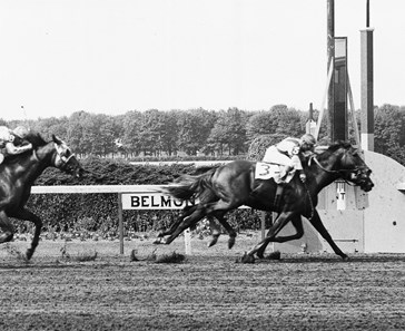 Bold Ruler - Horse Profile - BloodHorse