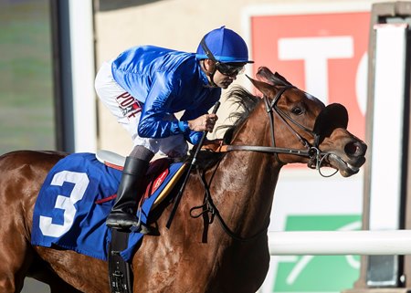 Bravo Makes Right Moves on Elsa in Jimmy Durante - BloodHorse