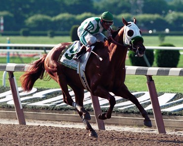 Point Given - Horse Profile - BloodHorse