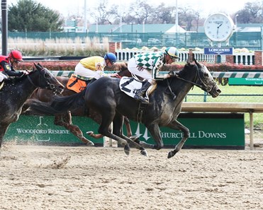 Over Thinking - Horse Profile - BloodHorse