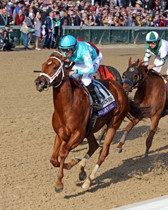 Monomoy Girl - Horse Profile - BloodHorse