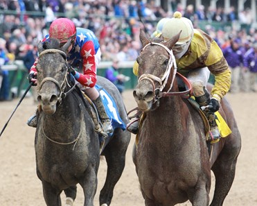 Dutch Parrot - Horse Profile - BloodHorse
