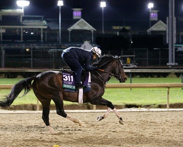Robert Bruce (CHI) - Horse Profile - BloodHorse