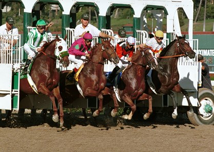 Point Given - Horse Profile - BloodHorse