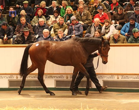 Four Stunning Horse Trades from the 2018 Circuit - BloodHorse