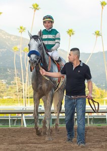 Gift Box - Horse Profile - BloodHorse