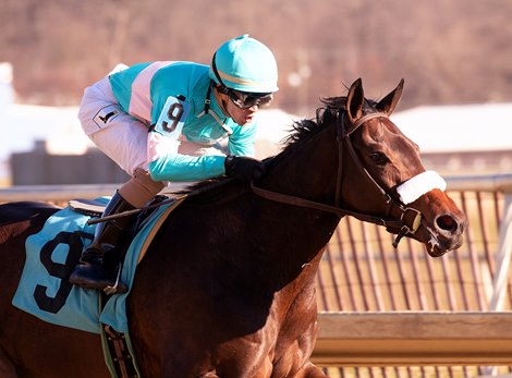 Please Flatter Me Tests Perfect Mark in Big A's Busher - BloodHorse