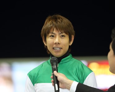 Nova Lenda (JPN) - Horse Profile - BloodHorse
