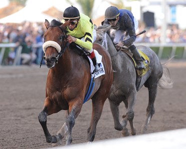 Quality Road - Horse Profile - BloodHorse