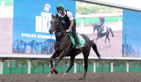 What's Working With Daughters of Shamardal - BloodHorse