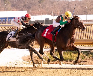 Alwaysmining - Horse Profile - BloodHorse