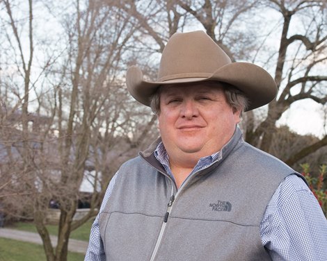 Cairo Prince Yearling a Legacy for Highclere Farm - BloodHorse