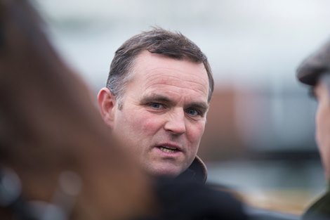 Trainer Evan Williams Counters the Staffing Crisis - BloodHorse