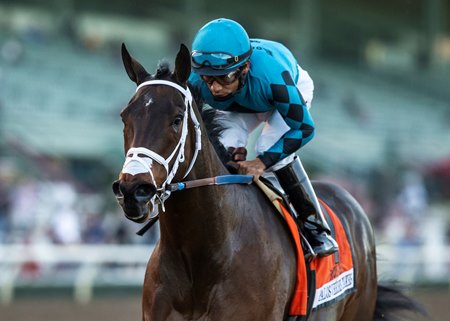 Roy H Repeats as Champion Male Sprinter - BloodHorse