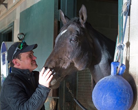 Limousine Liberal Begins 2019 Campaign in Commonwealth - BloodHorse