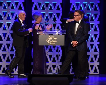 Jaywalk - Horse Profile - BloodHorse