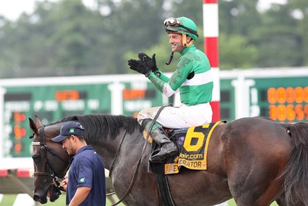 Exaggerator - Horse Profile - BloodHorse