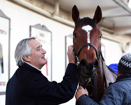 Thrills Aplenty for Blindwillie McTell Owner Jerry Zaro - BloodHorse