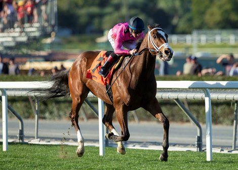 Conquest Tsunami Goes Wire-to-Wire in Clocker's Corner - BloodHorse