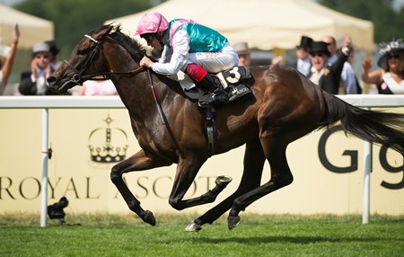 Time Test (GB) - Horse Profile - BloodHorse