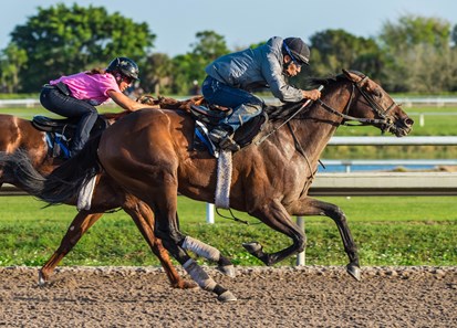 Avie's Flatter - Horse Profile - BloodHorse