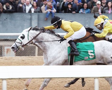 Heartwood - Horse Profile - BloodHorse